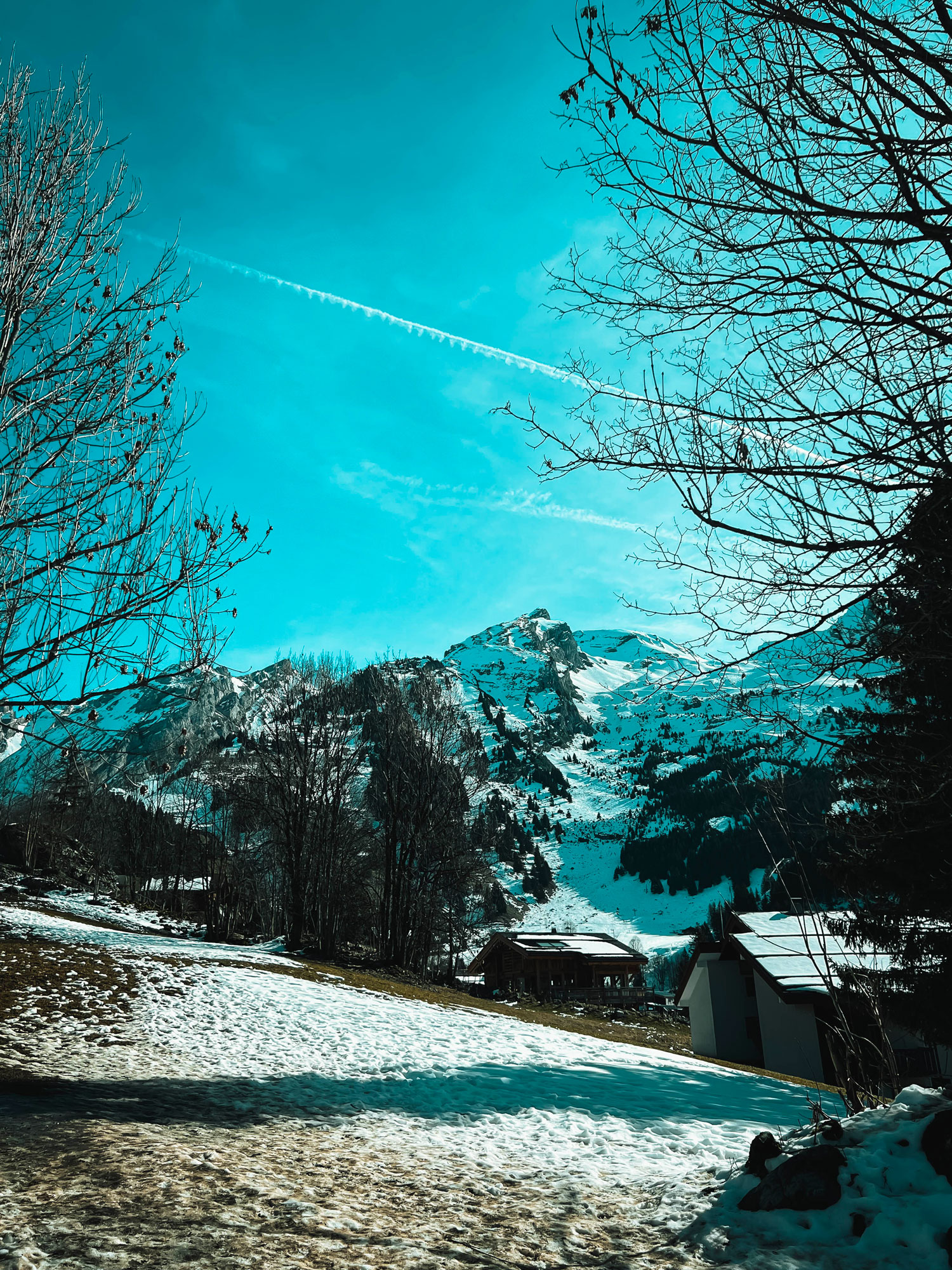 Rando d'hiver du Lac des Confins à La Clusaz - Wildnlaura - Voyages dog ...