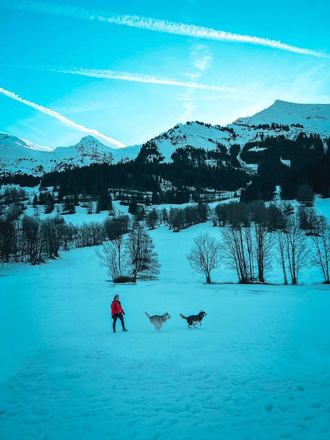 Rando d'hiver du Lac des Confins à La Clusaz - Wildnlaura - Voyages dog ...
